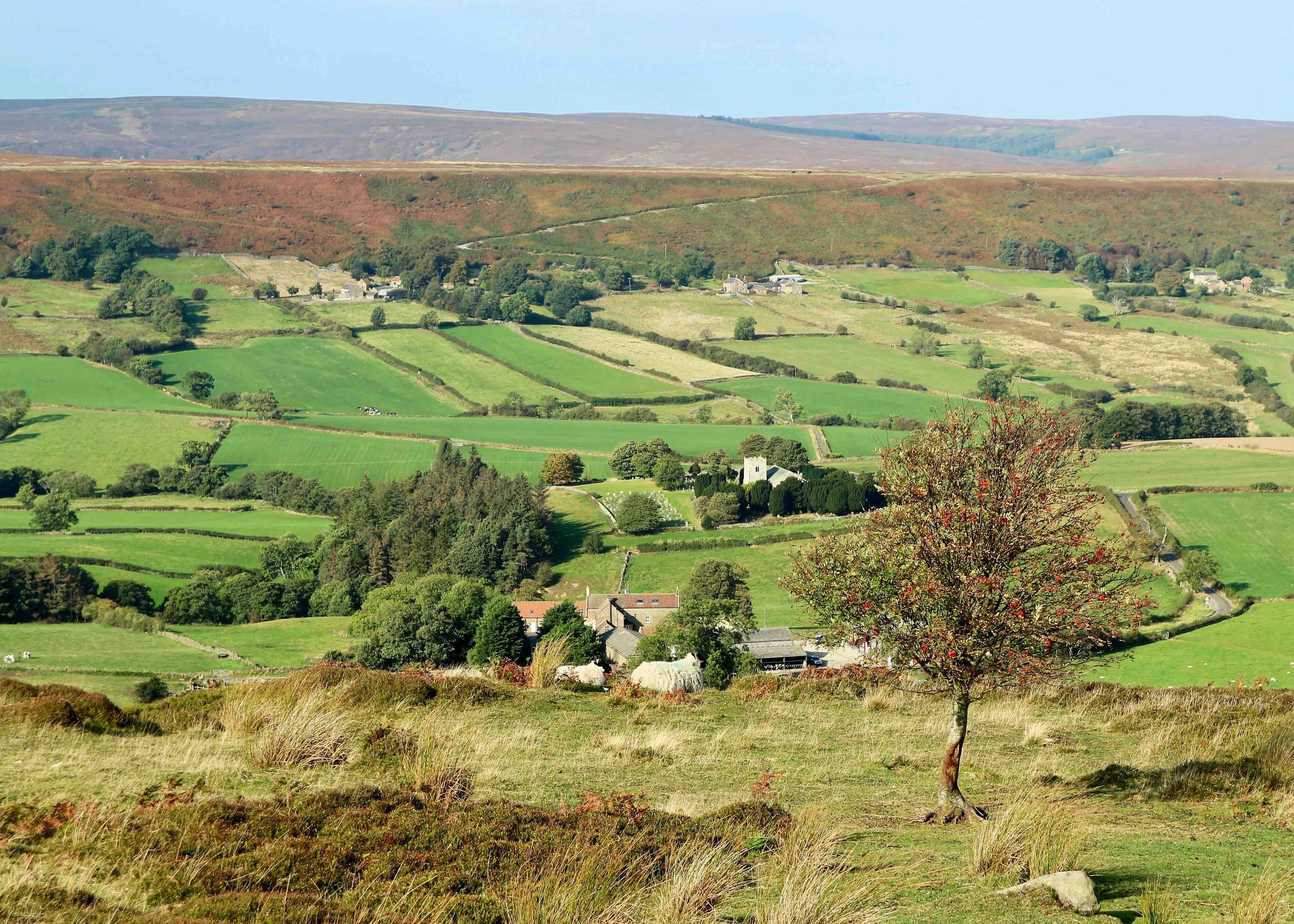Church House Farm Yorkshire | Holiday Accommodation | Danby, Whitby ...